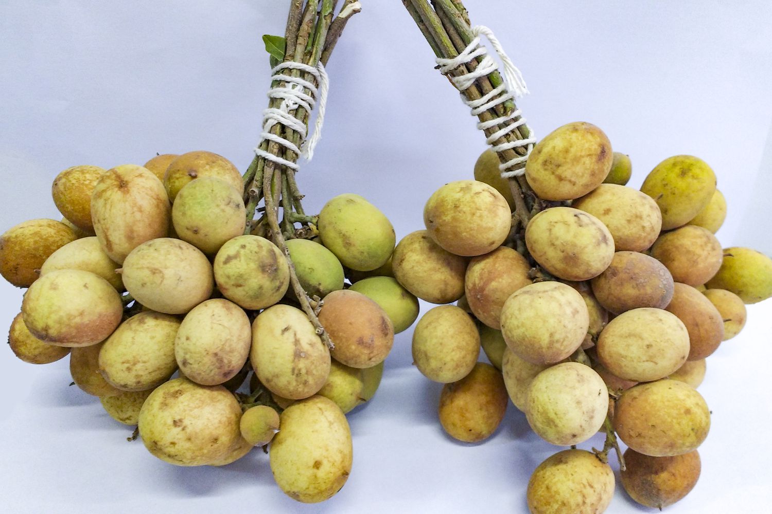 Portal UFS - Propriedades da casca da pitomba podem até prevenir doenças